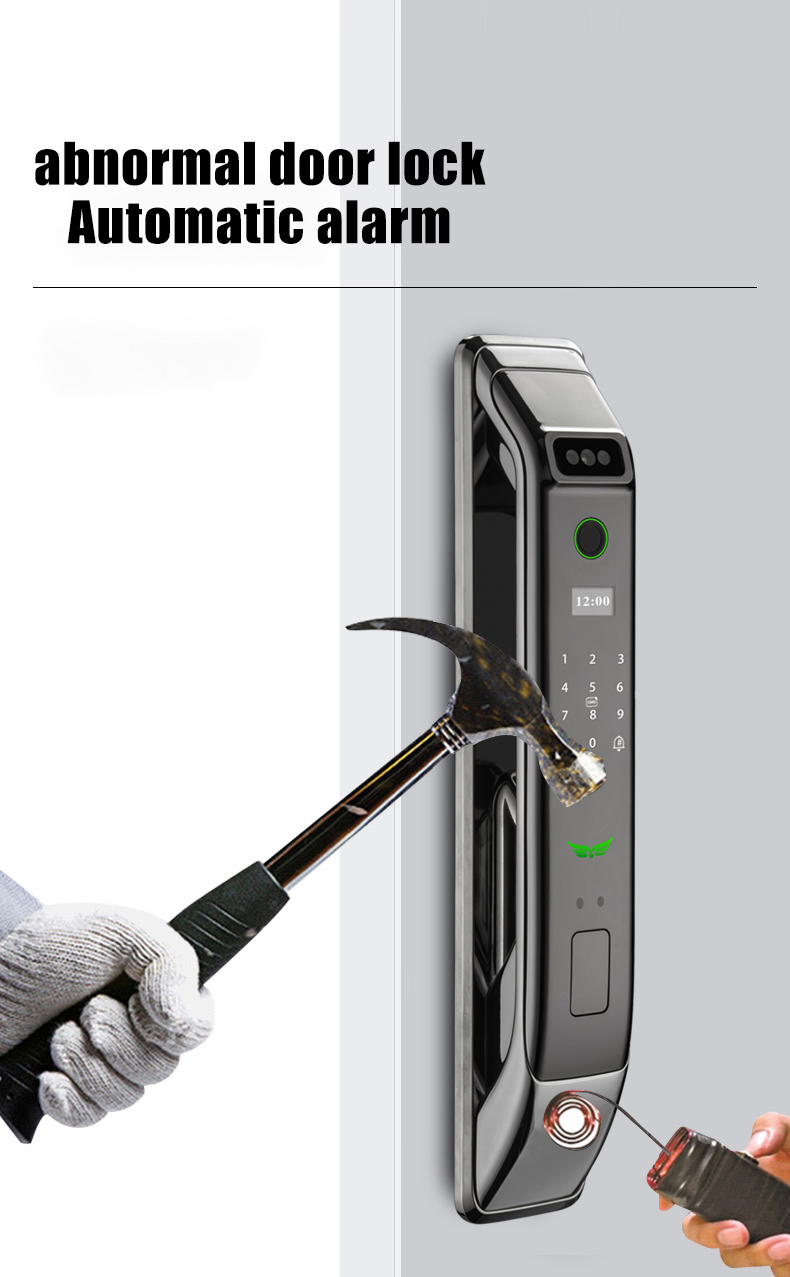 smart door lock-f22wa